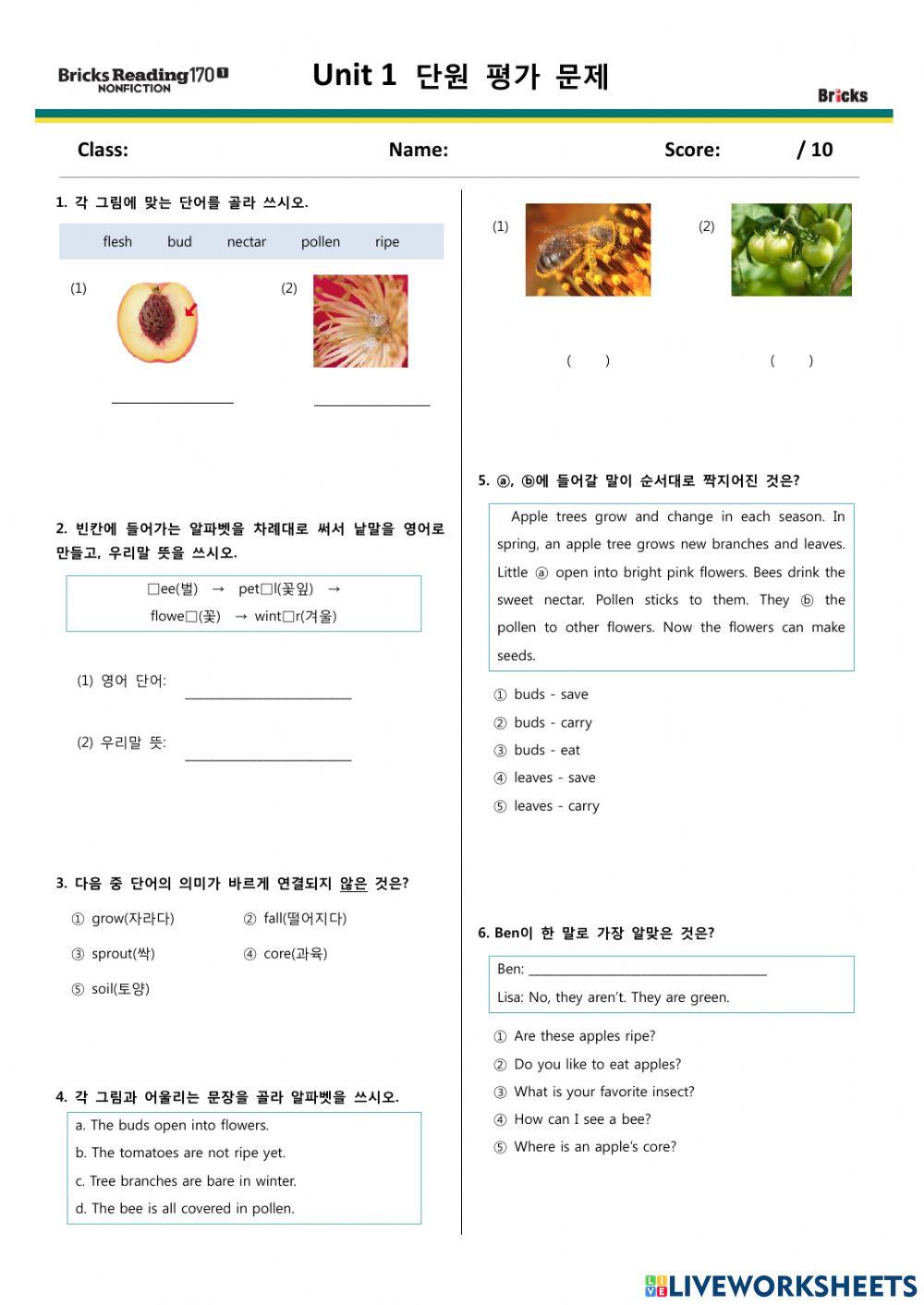 Bricks Reading 170-1 Unit 1 Test 1217 | juliejeong20