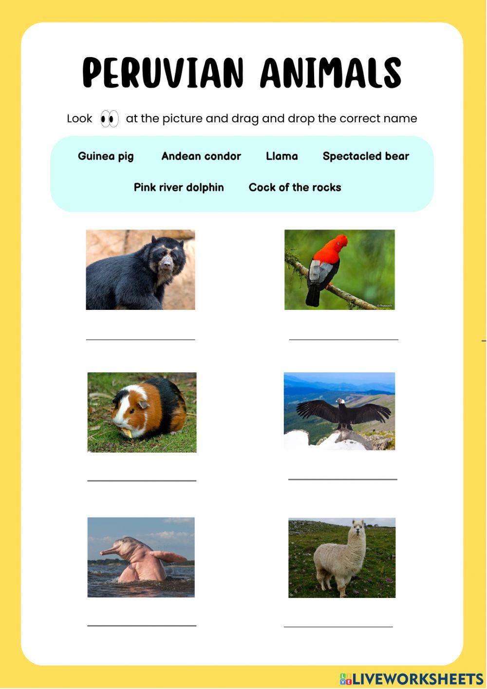 Peruvian animals online worksheet | Live Worksheets