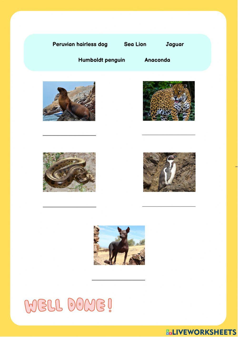Peruvian animals online worksheet | Live Worksheets