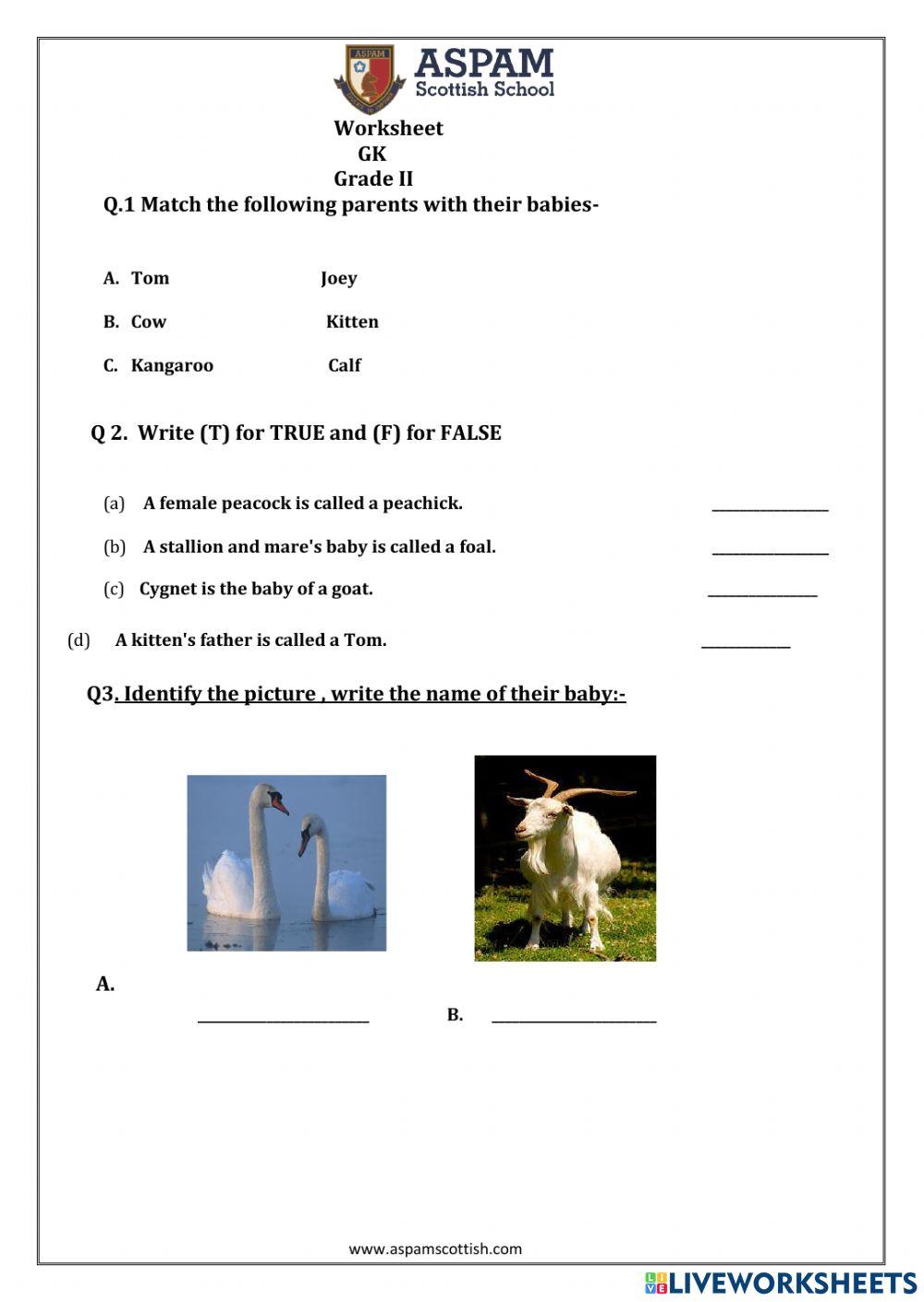 Animals and Babies exercise | Live Worksheets