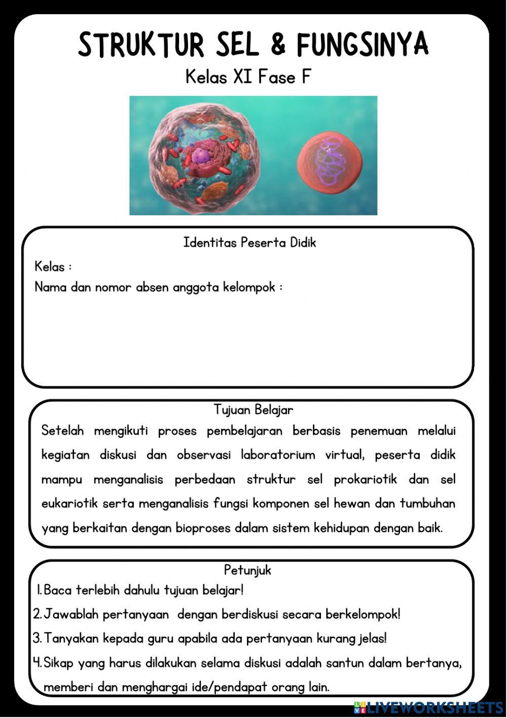 Lkpd struktur sel activity | Live Worksheets