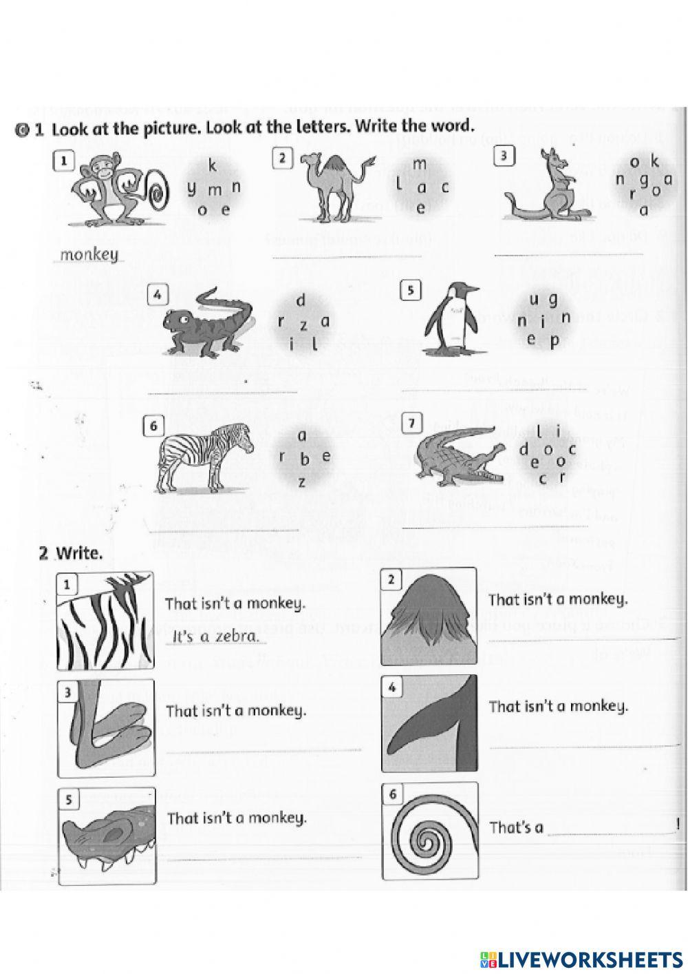 Animals online exercise for Grade 4 | Live Worksheets