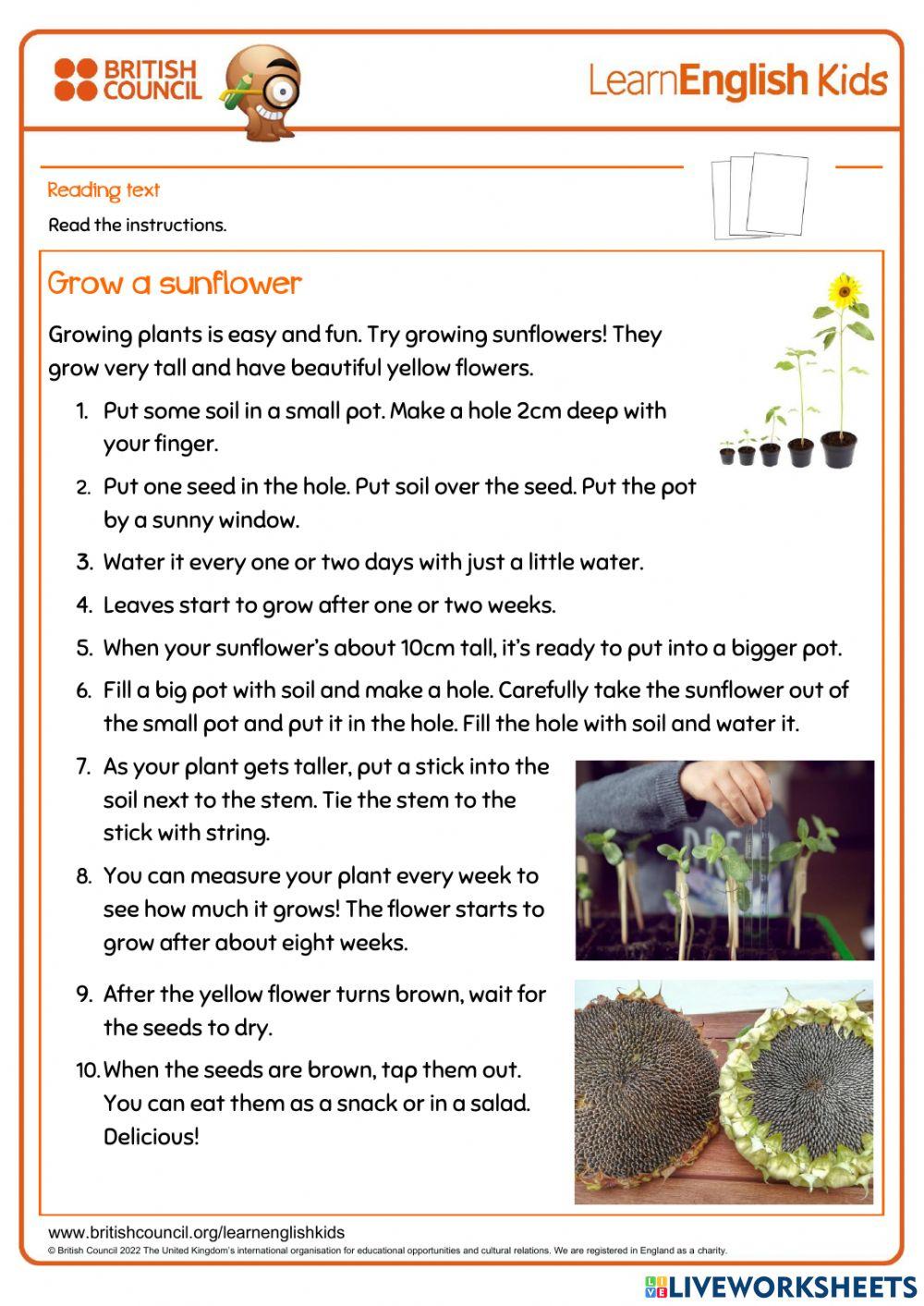 Kid Reading Level1: Growing a plant worksheet | Live Worksheets