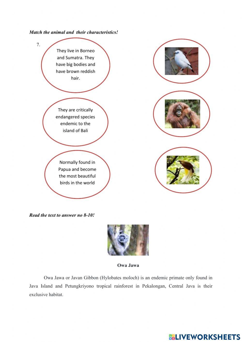 LKPD Report Text | Free Interactive Worksheets | 7104389