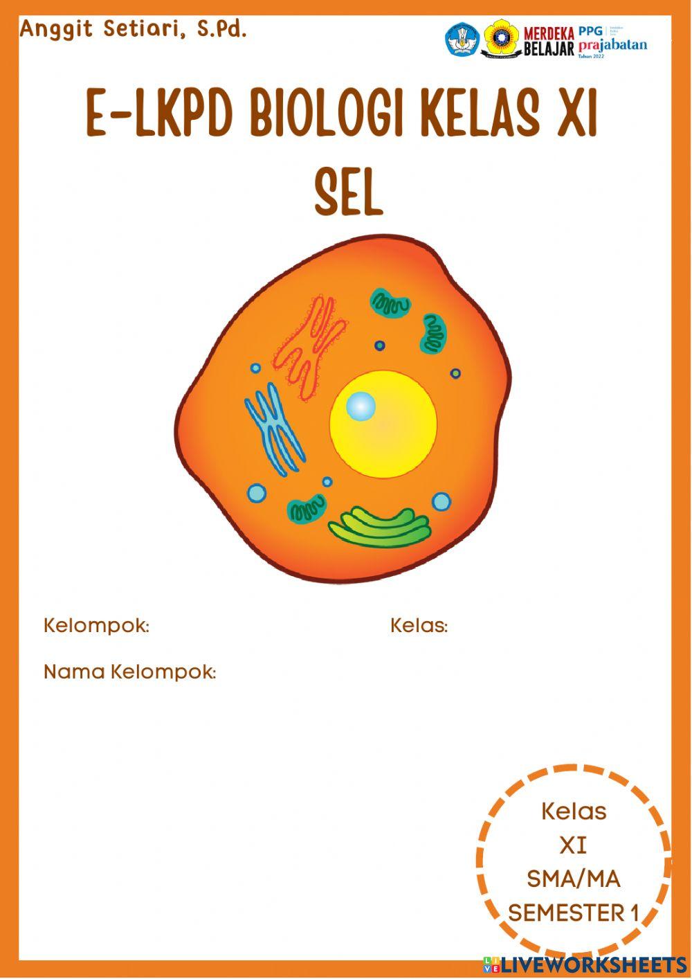 Sel interactive exercise for 11 | Live Worksheets