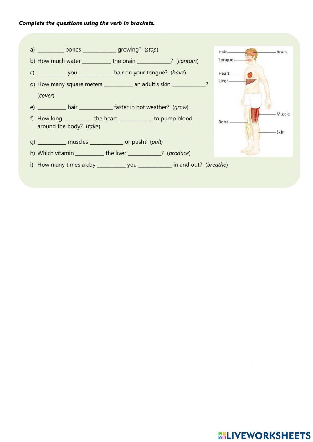 Present simple exercise | LiveWorksheets | 7105444