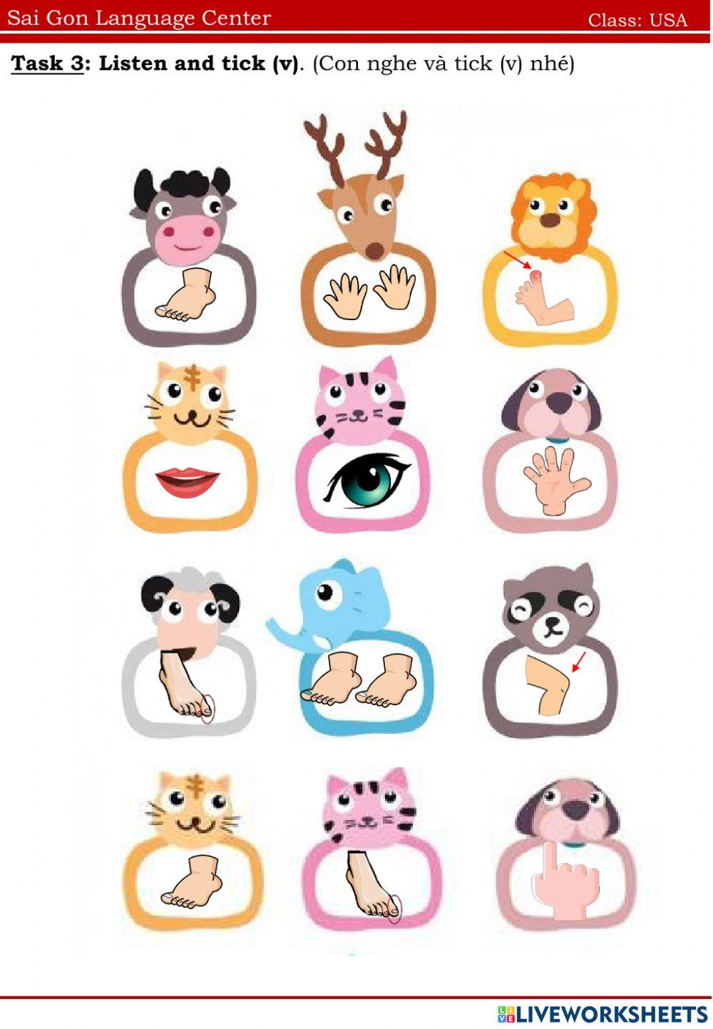 Usa foot, toe, hand, finger 24.07 worksheet | Live Worksheets