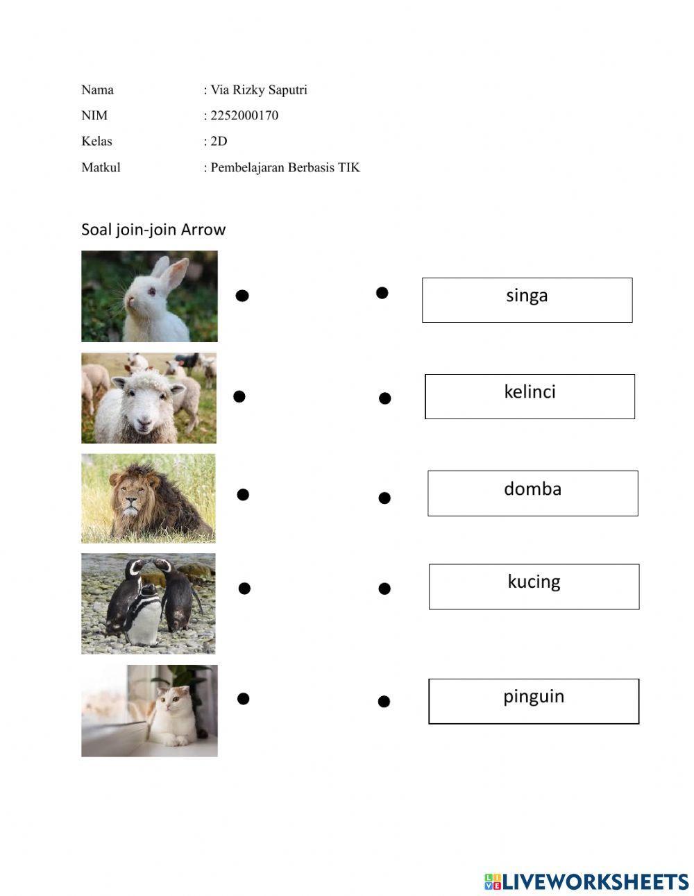 Bab hewan worksheet | Live Worksheets