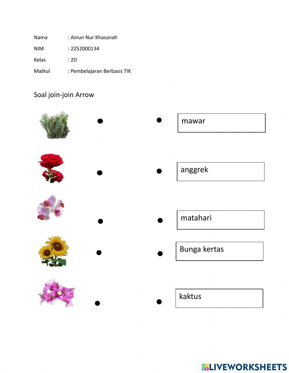 Tanaman online pdf exercise | Live Worksheets