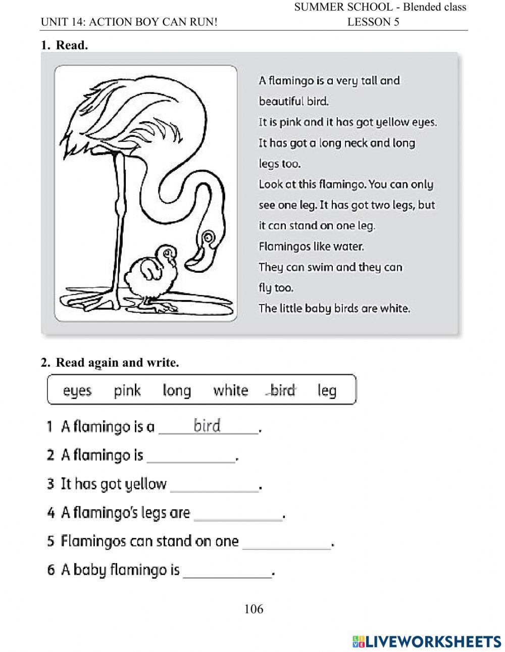 Action Boy can run! English as a Second Language (ESL) activity | Live ...