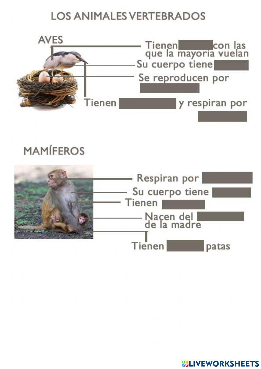 Vertebrados 2 | Free Interactive Worksheets | 7081595