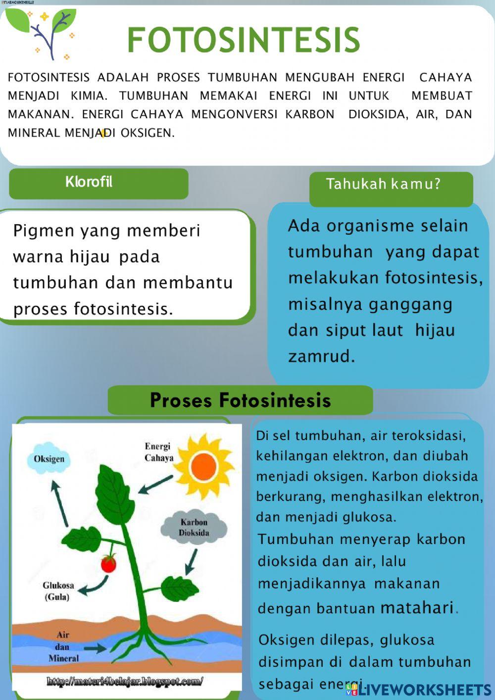 7086297 | LKPD IPAS Kelas 4 Pentingnya Proses