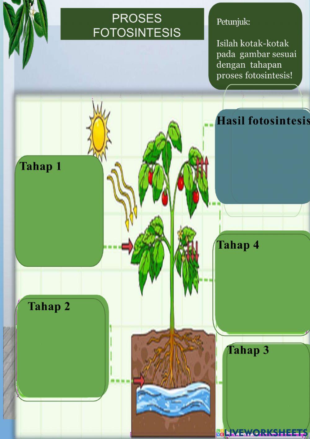 7086297 | LKPD IPAS Kelas 4 Pentingnya Proses