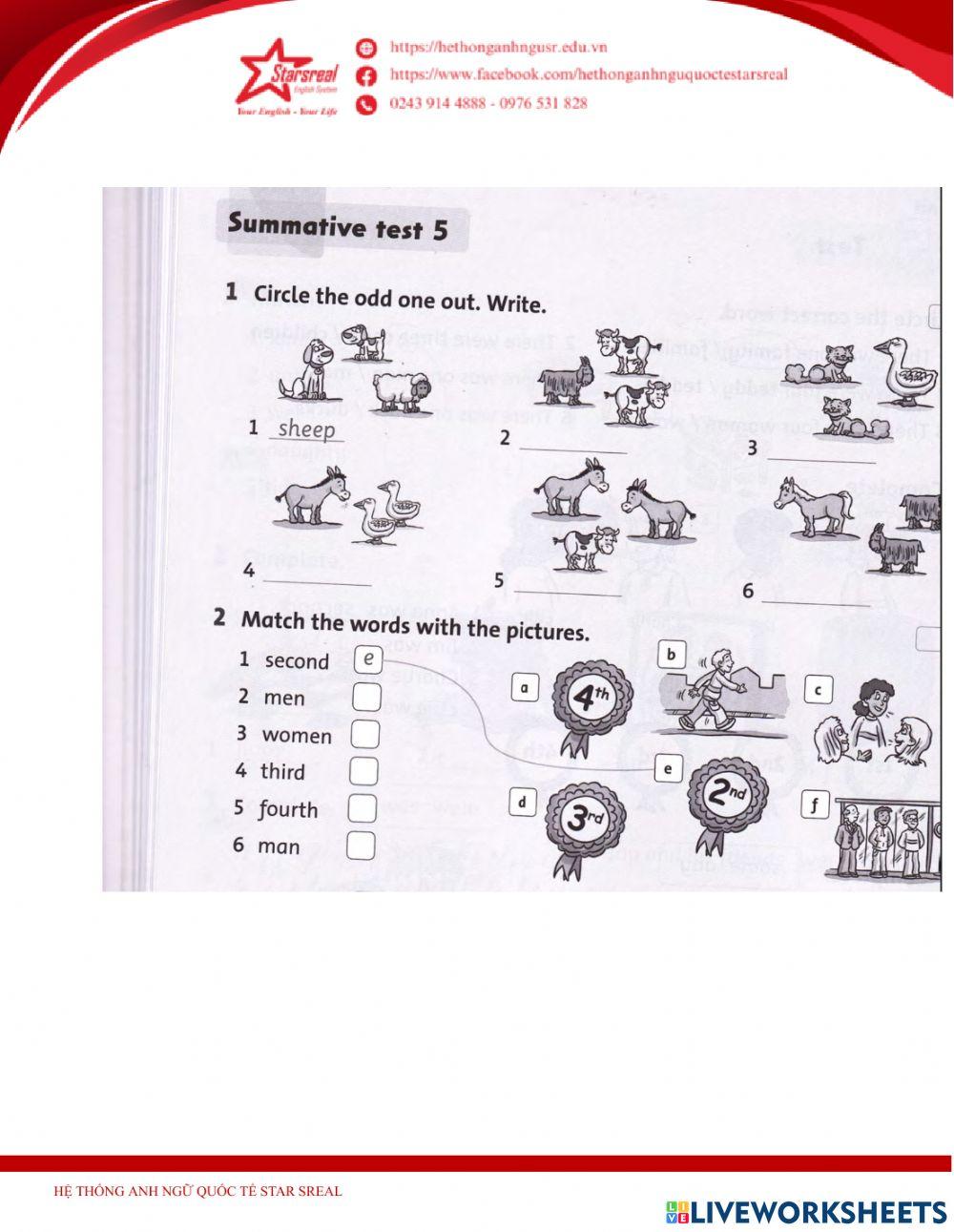Summative test 5 activity | Live Worksheets