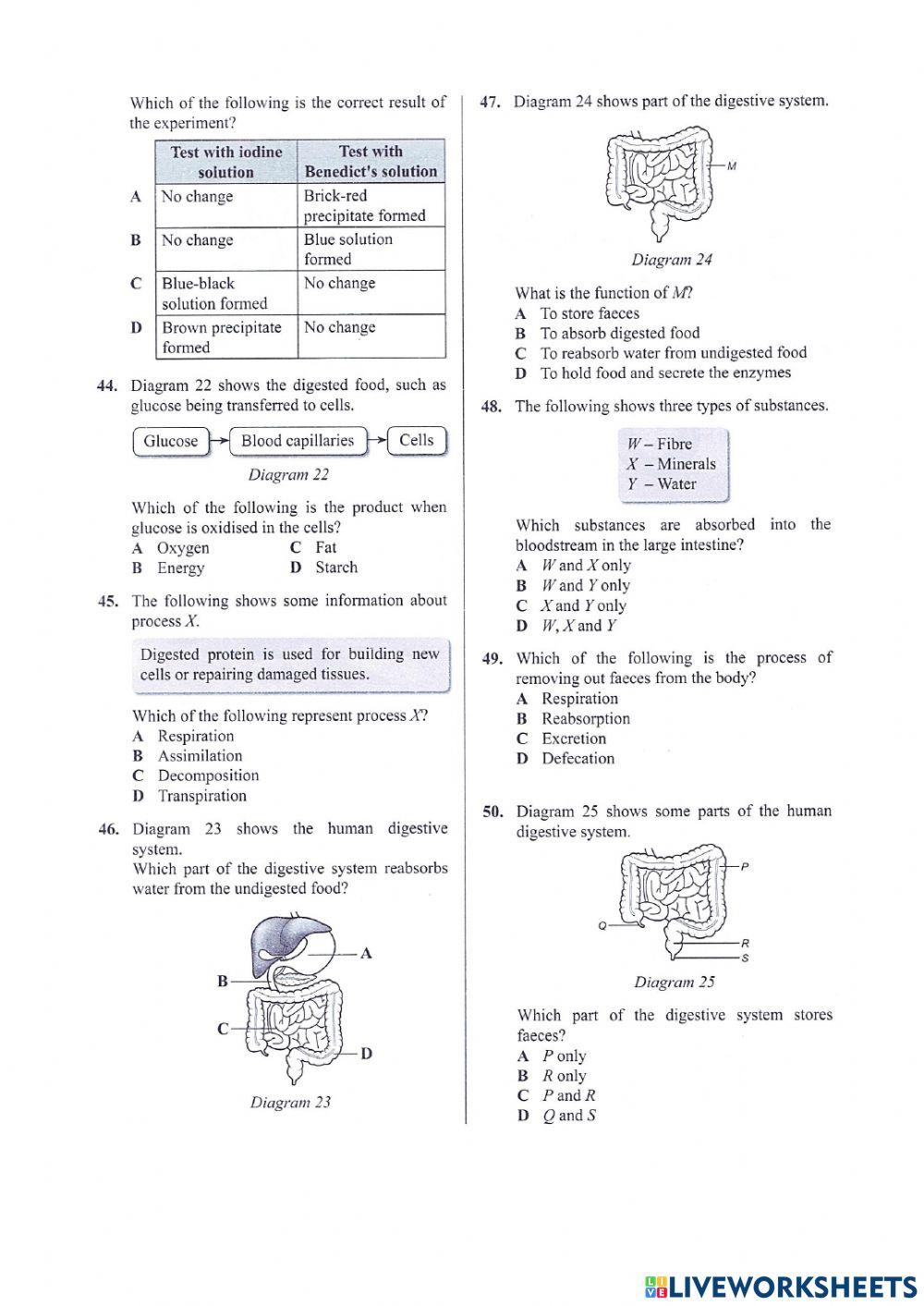 F2 Science Chap… | Free Interactive Worksheets | 7089490