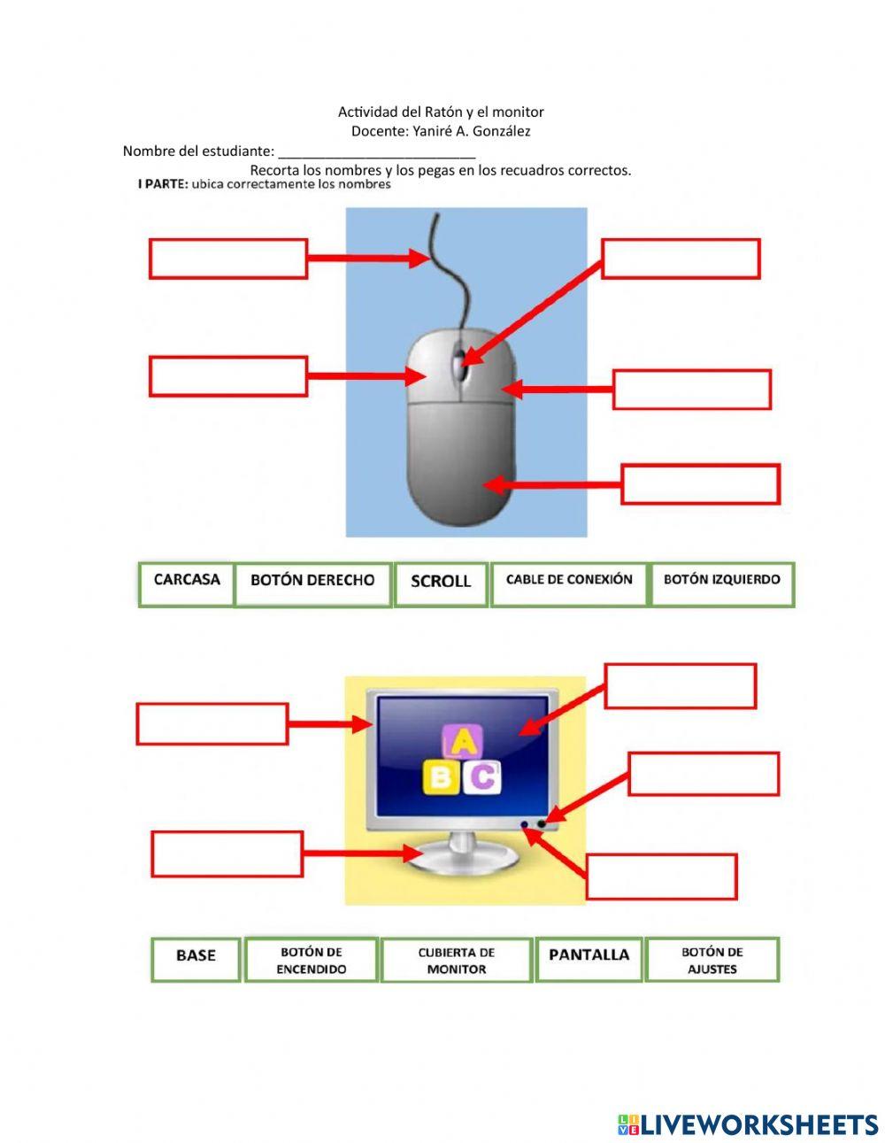 Actividad del ratón y pantalla o monitor online exercise for | Live ...