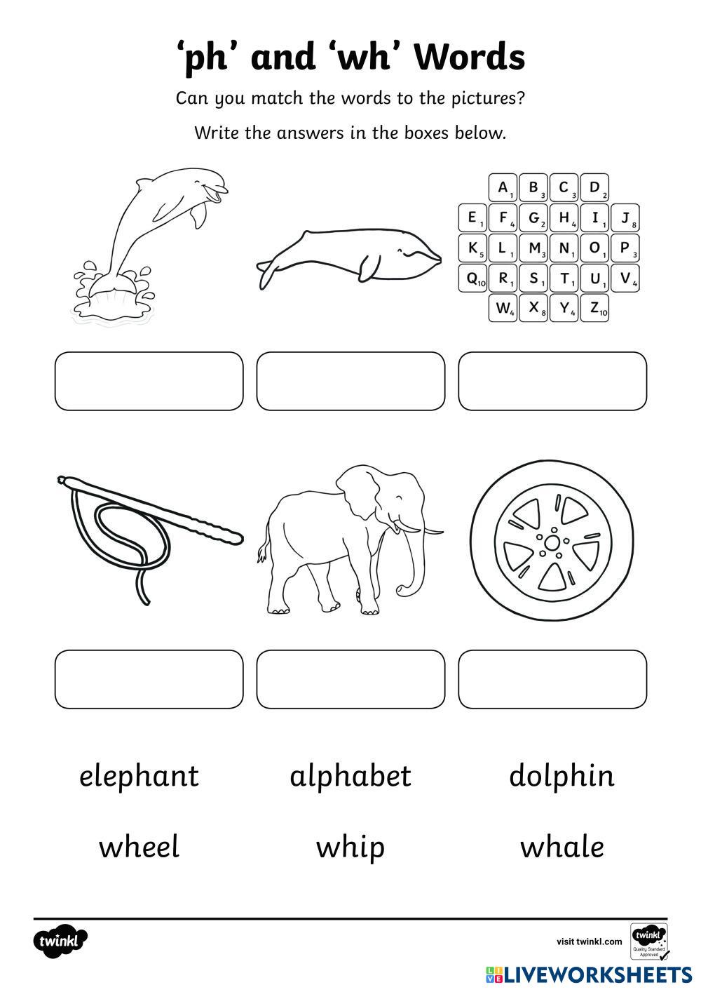 7211648 | wh & ph sounds | salim | LiveWorksheets