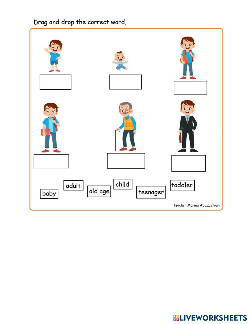 7211978 | Stages of human life | Marina Abu Zaytoun