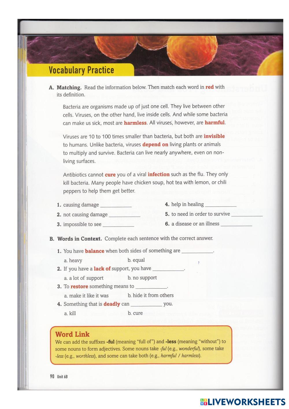 Reading 6B 7224234 | Lan Le | Live Worksheets