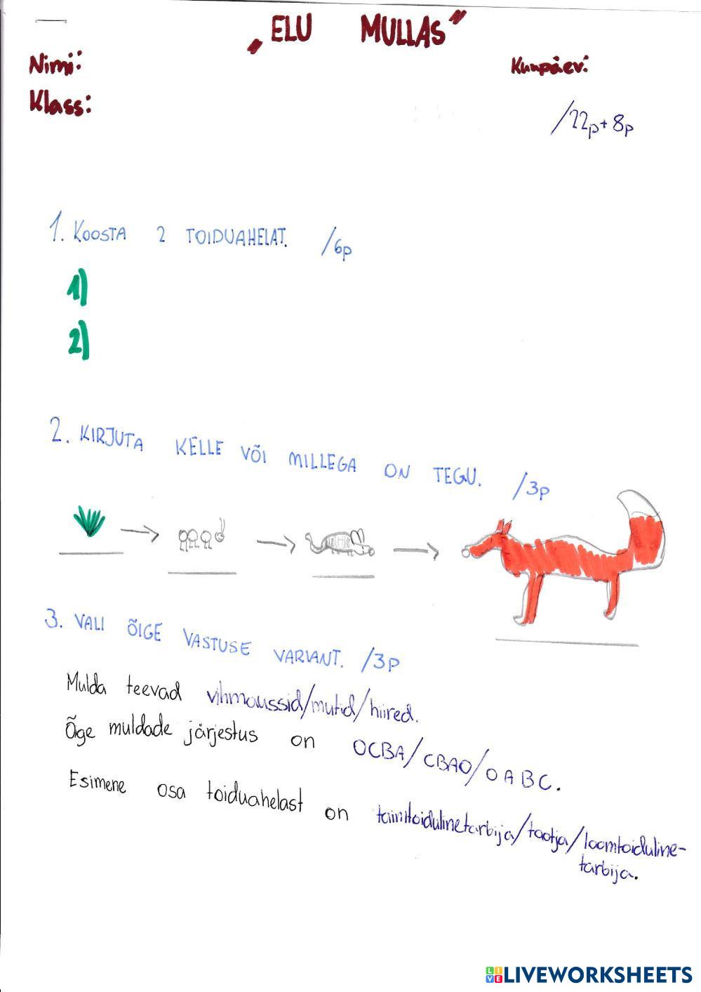 Elu mullas, toi… | Free Interactive Worksheets | 7225200