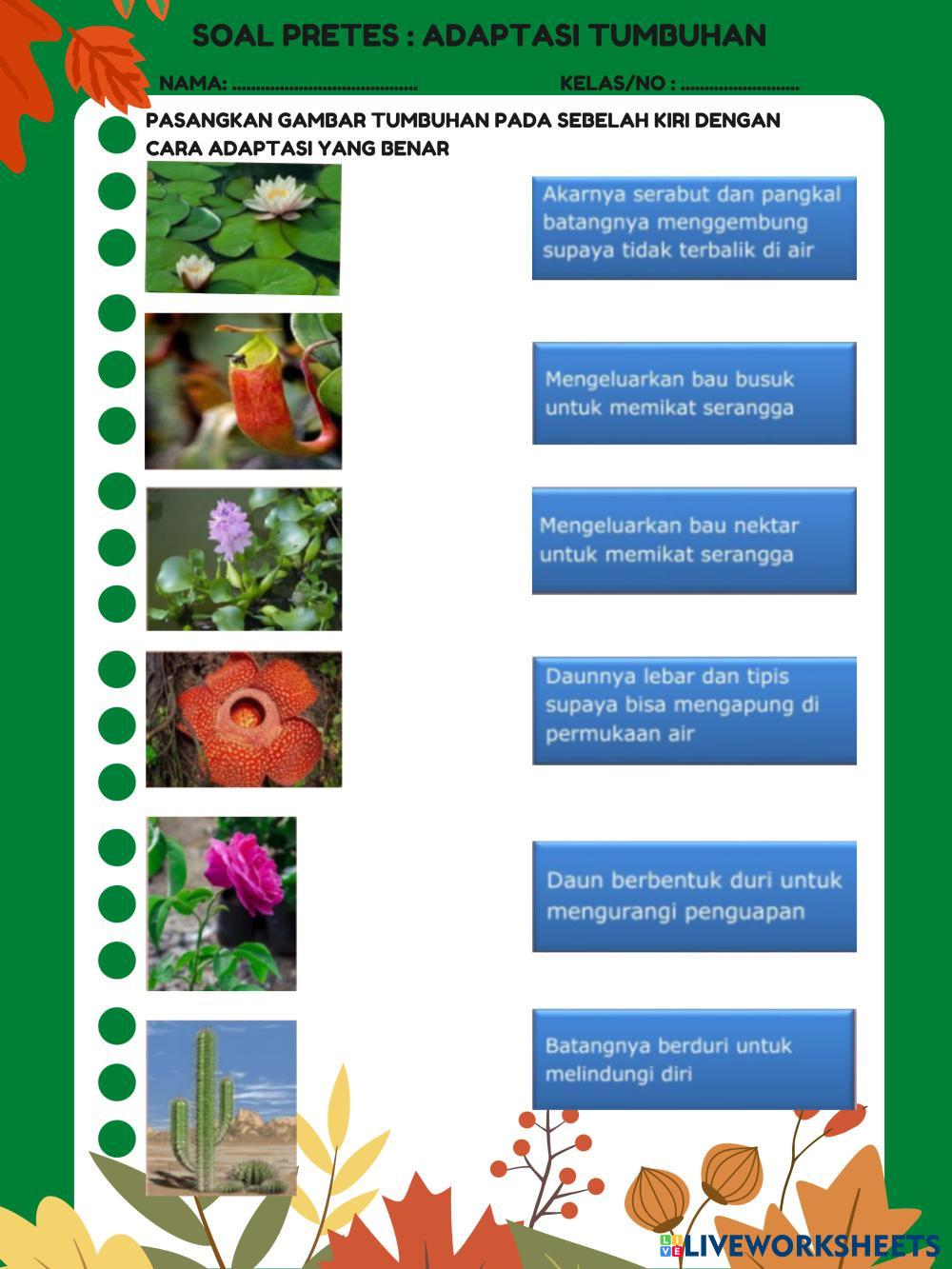 PRETES ADAPTAS TUMBUHAN | Live Worksheets