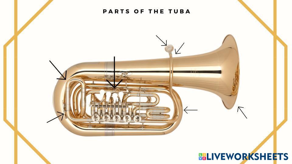 Parts of the Tuba 1155 | Lindsey Underwood | Live