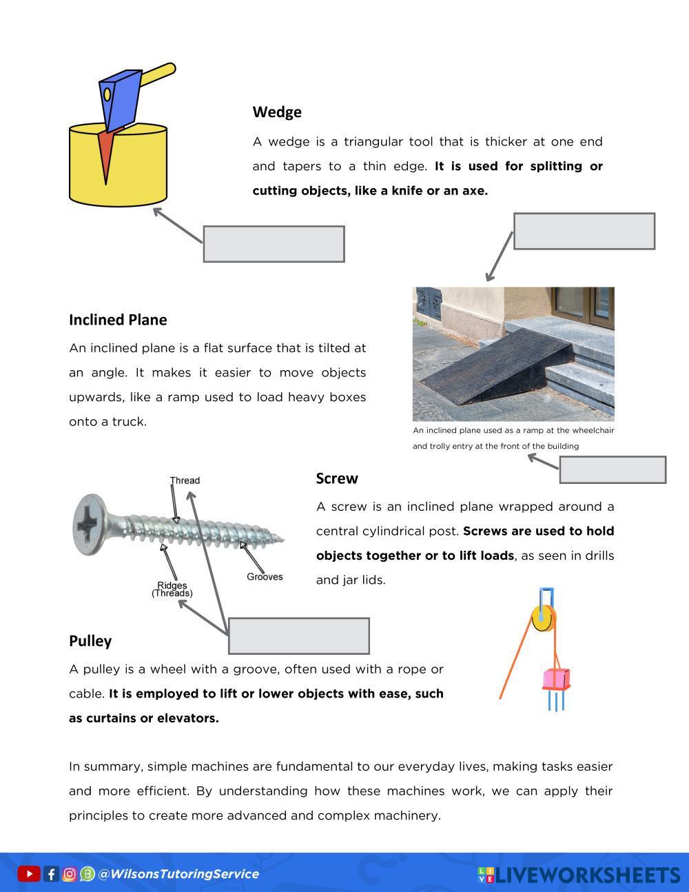 Identifying Tex… | Free Interactive Worksheets | 7231496