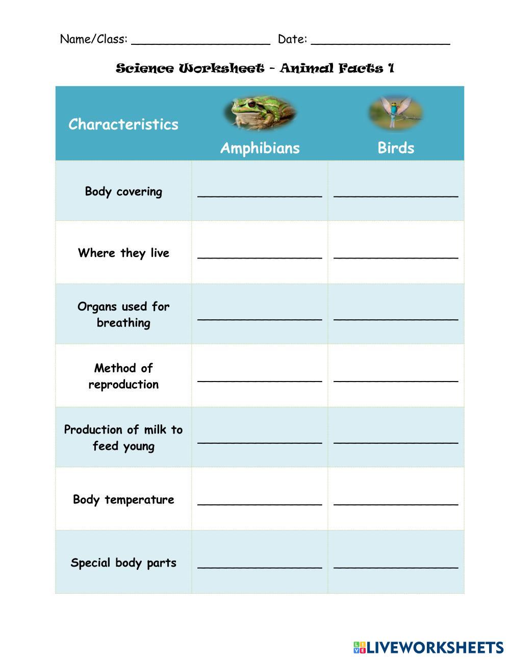 Amphibians vs B… | Free Interactive Worksheets | 7239990