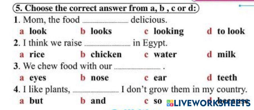 Connect 4 7243283 | Mai_Hamouda | LiveWorksheets