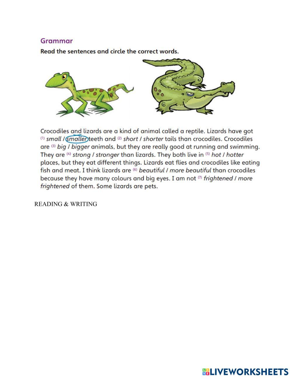 Unit 6: My neck… | Free Interactive Worksheets | 7245107