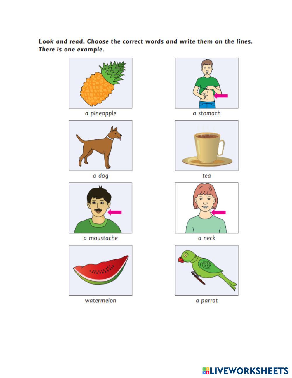 Unit 6: My neck… | Free Interactive Worksheets | 7245107