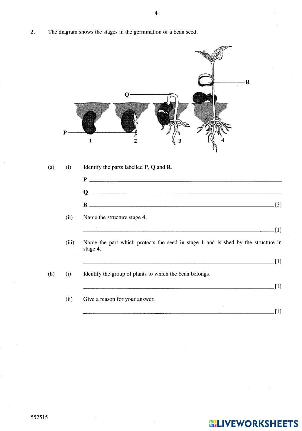 BJC 2005 Paper 1 | Live Worksheets