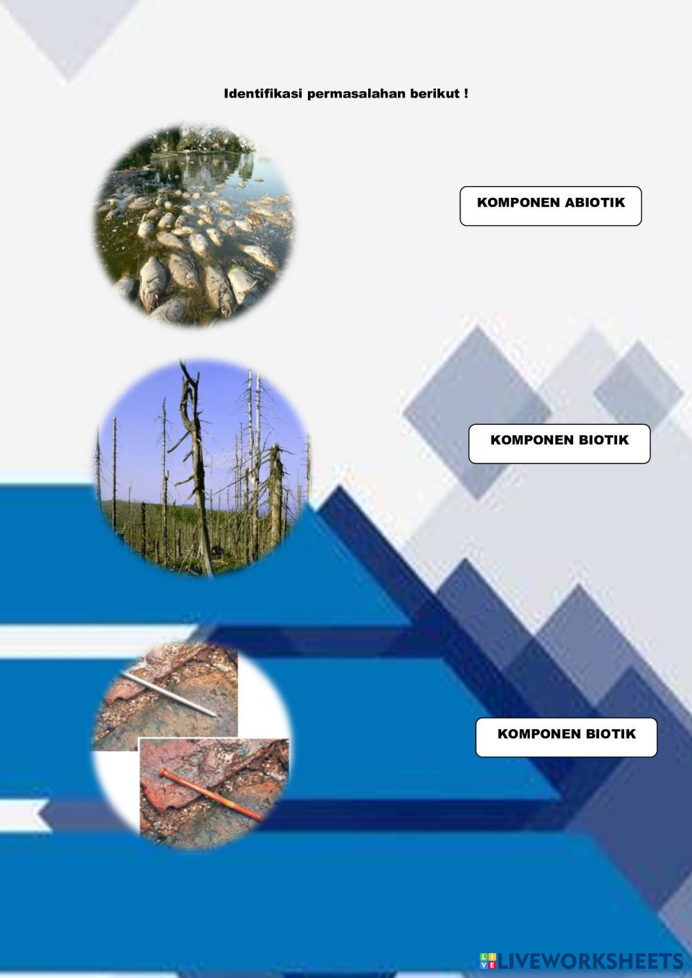 HALAMAN 3 | Live Worksheets