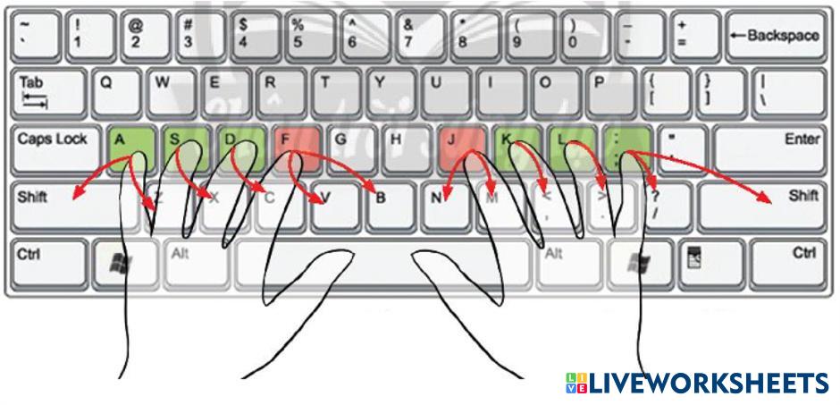 Tập gõ hàng phím dưới | Live Worksheets