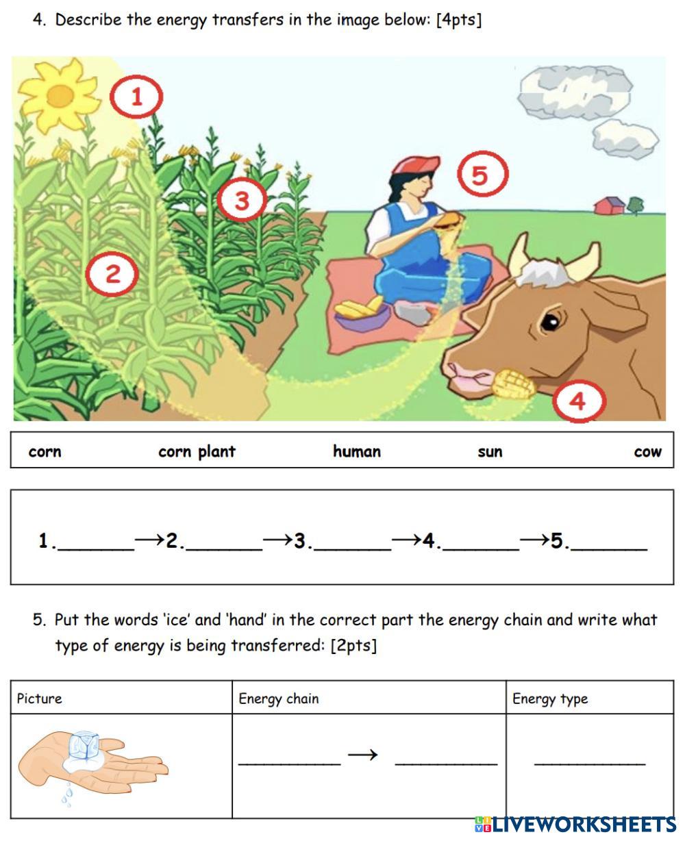 Science unit 2 | Live Worksheets
