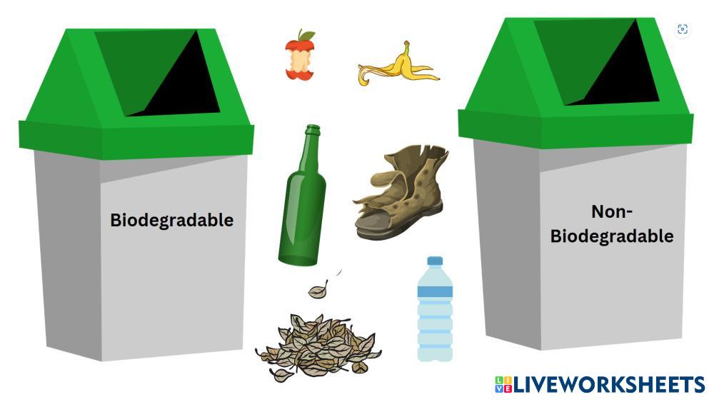 Biodegradable or Non-biodegradable Waste 7254601 | HONEY