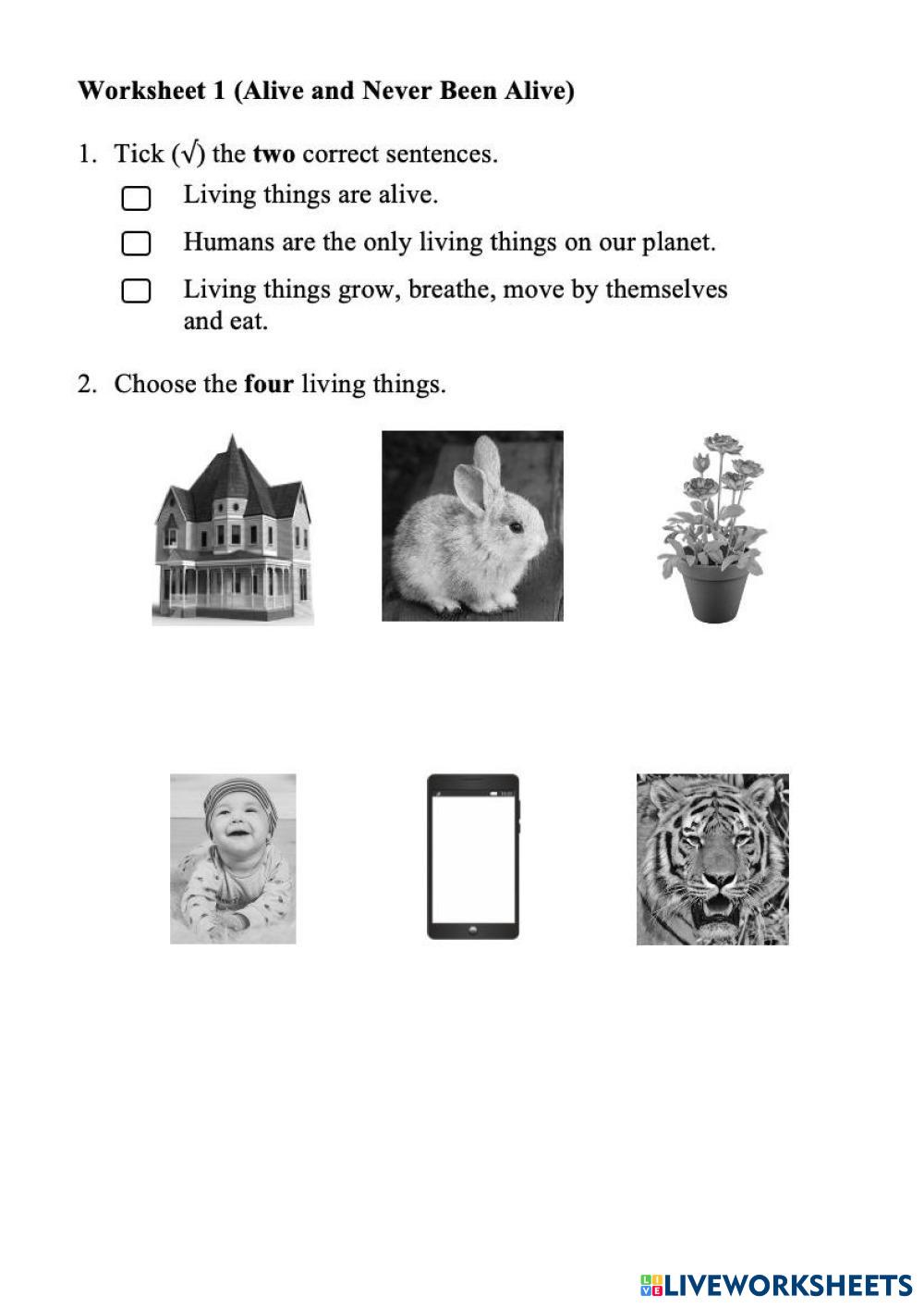 Year 1 worksheet 2 7256997 | AmalRagab | Live Worksheets