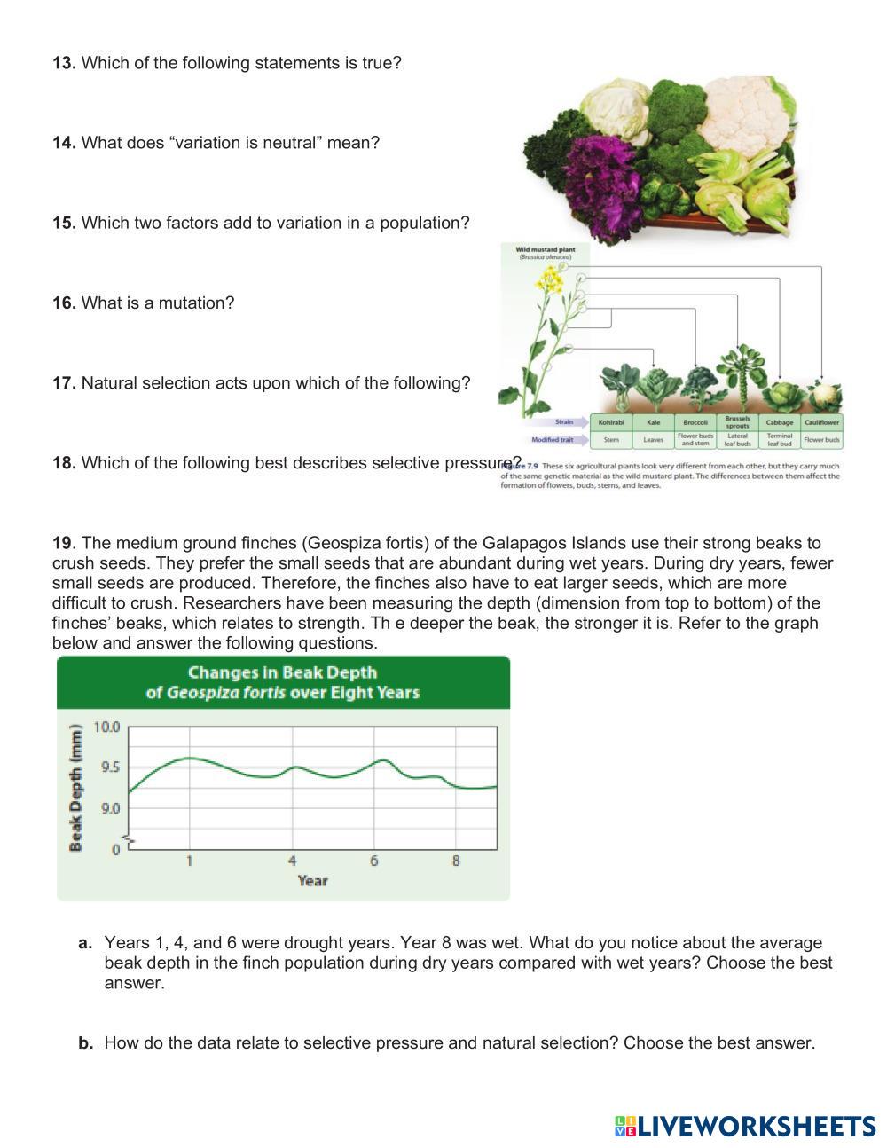 7257123 | Evolution-Adaptation and Selection | Clyde