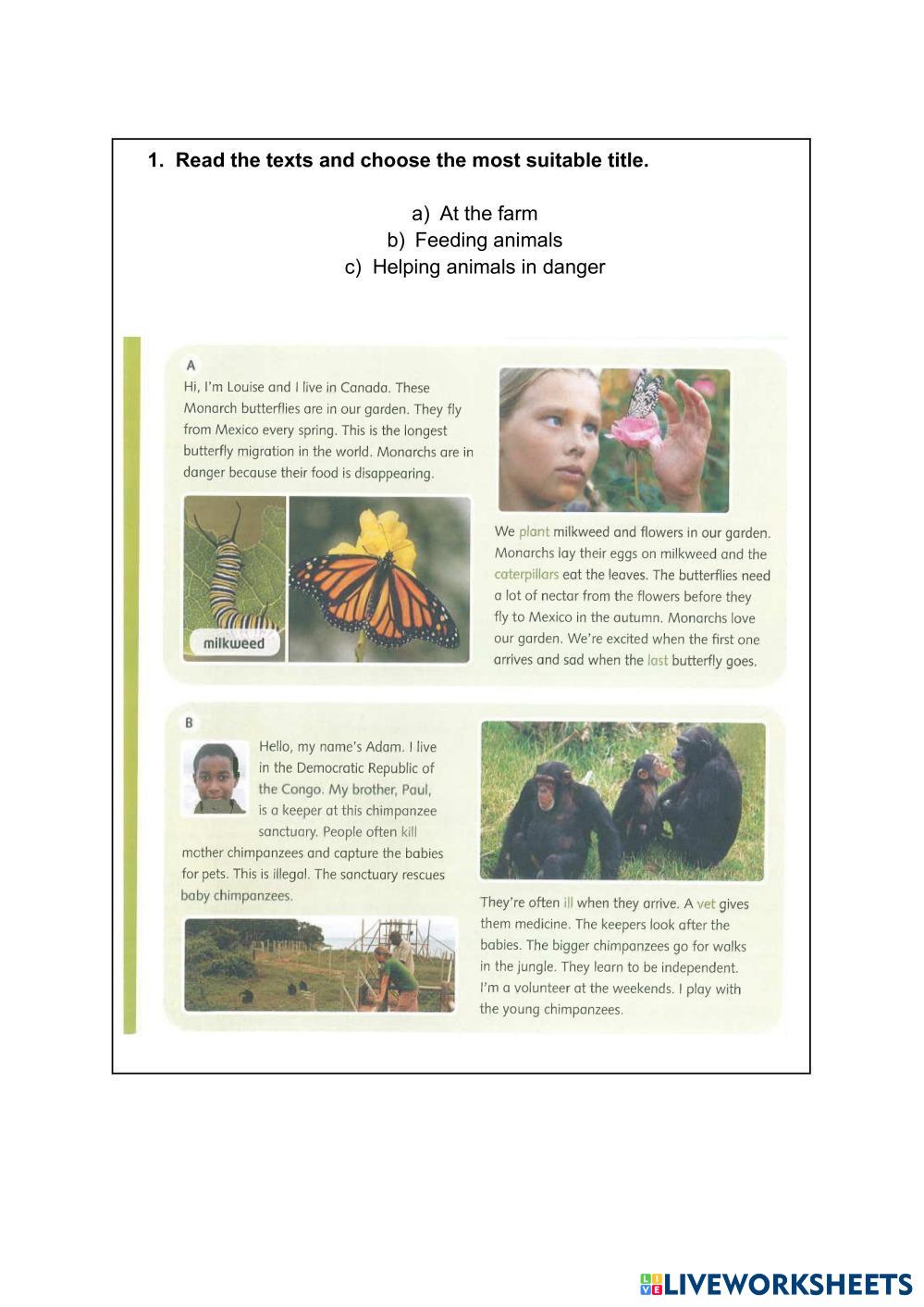 READING SKILL | Live Worksheets