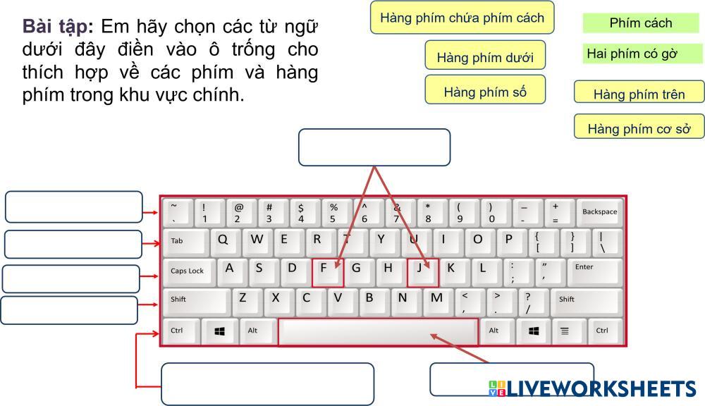 phim va hang phim khu vuc chinh | Live Worksheets