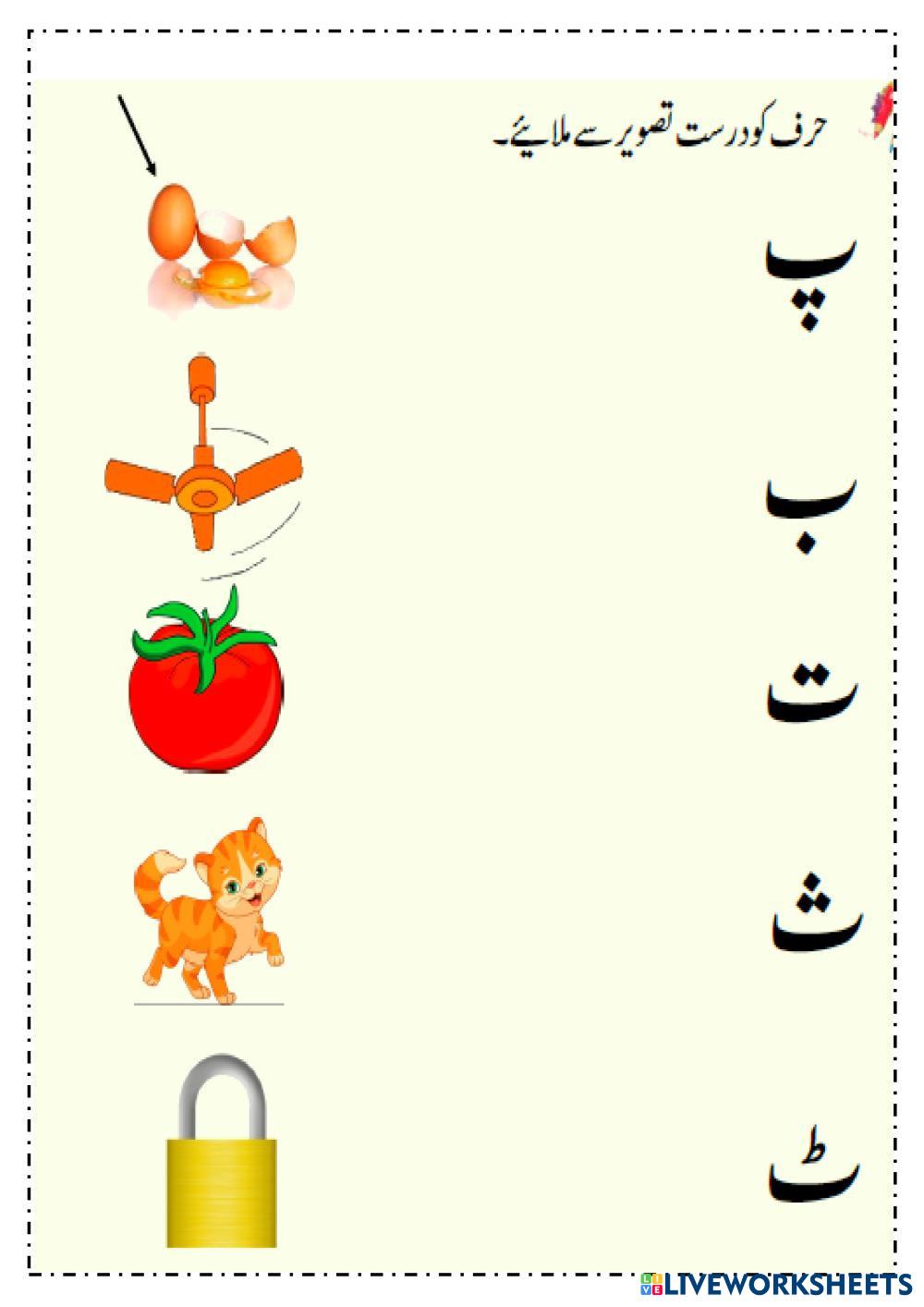 urdu worksheet 1 | Free Interactive Worksheets | 5924974