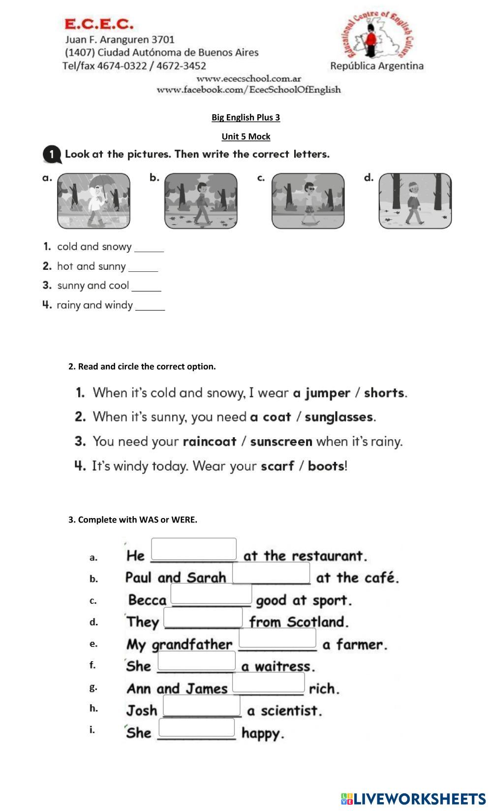 Big English Plu… | Free Interactive Worksheets | 7264855