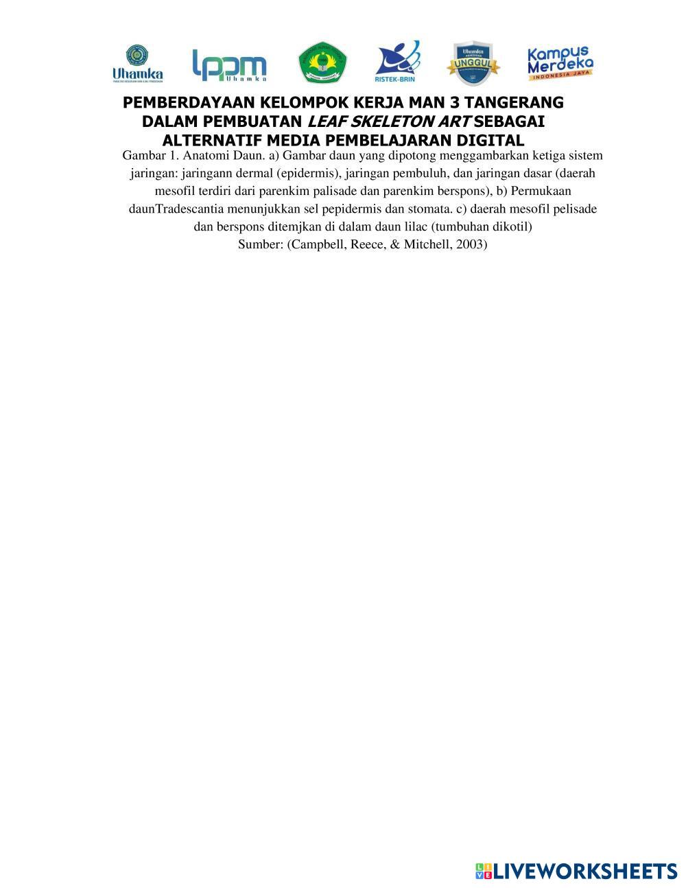 ISNAWATI | Live Worksheets