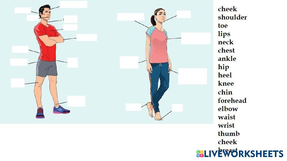 body parts man … | Free Interactive Worksheets | 7266057