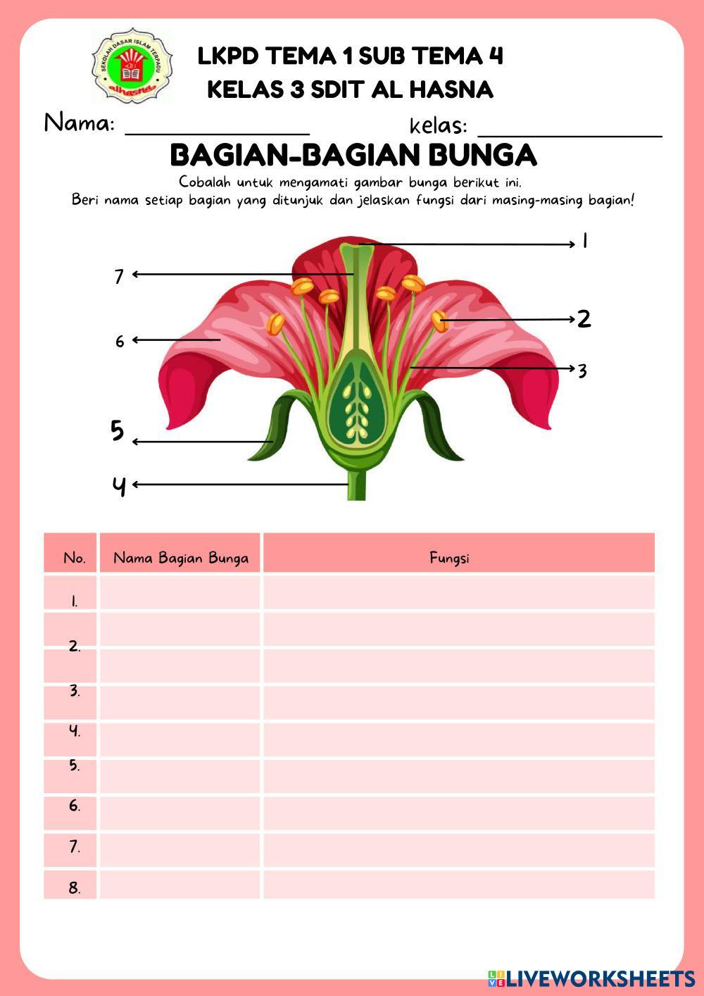 BAGIAN-BAGIAN BUNGA | Live Worksheets
