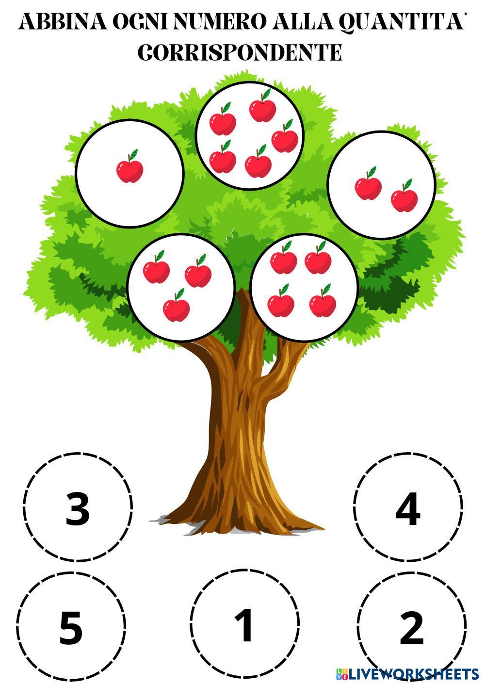 Numeri e quantità | Live Worksheets