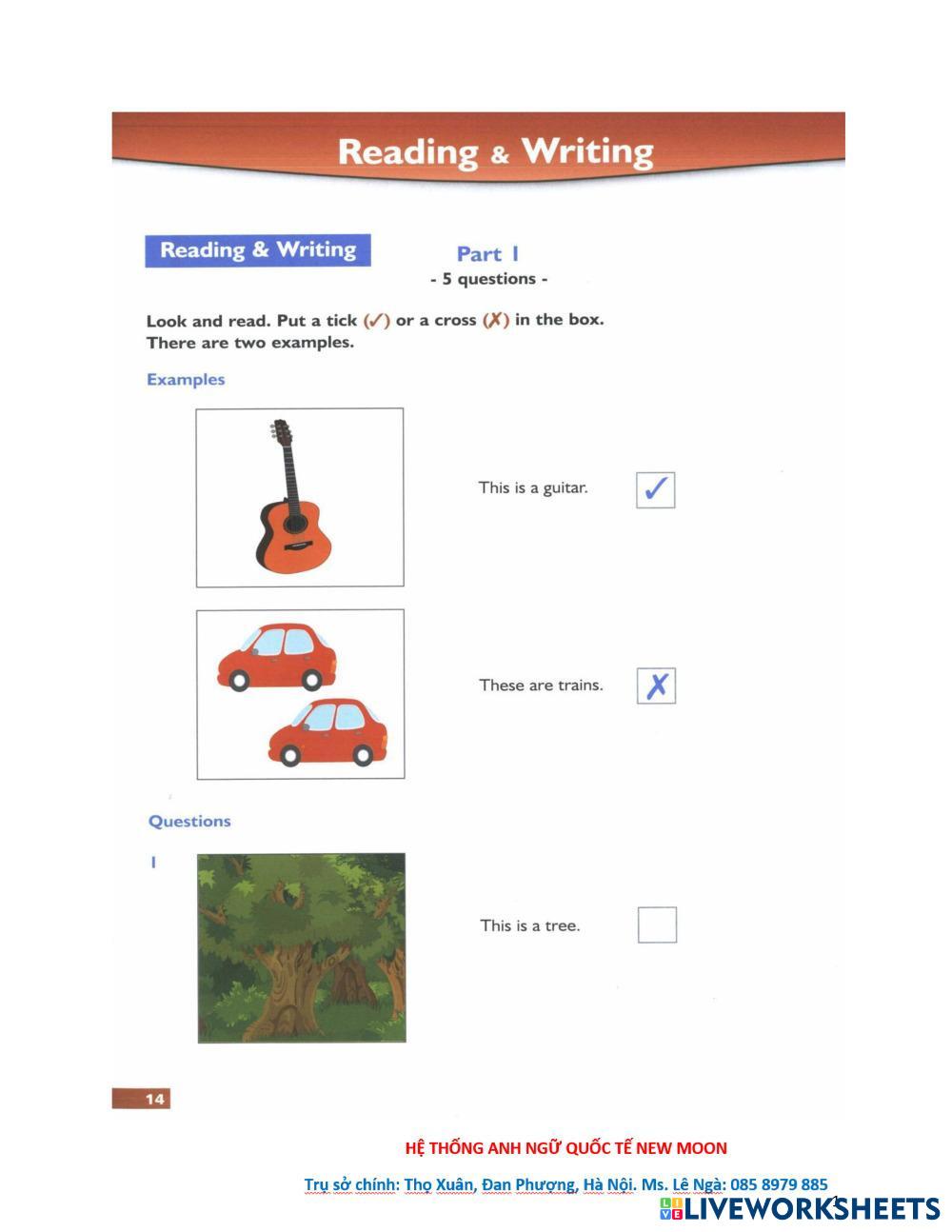 Succeed in star… | Free Interactive Worksheets | 7271906