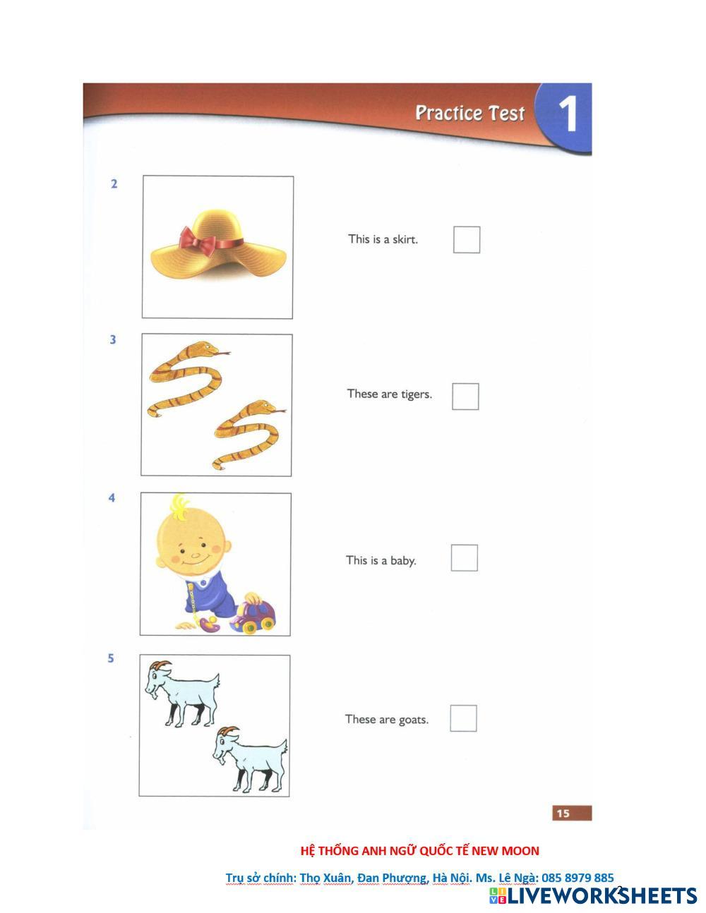 Succeed in star… | Free Interactive Worksheets | 7271906