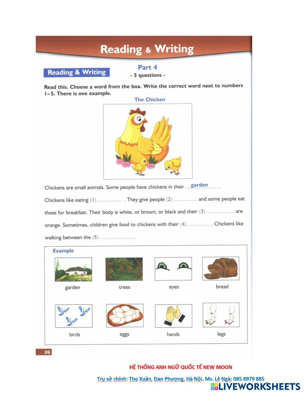 Succeed in starters test 2 Reading and Wirting 7271937