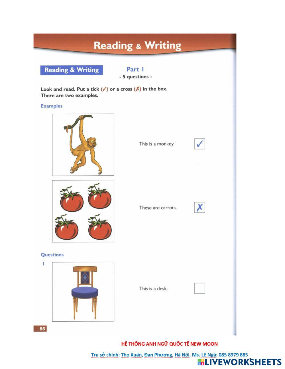 Succeed in star… | Free Interactive Worksheets | 7271998